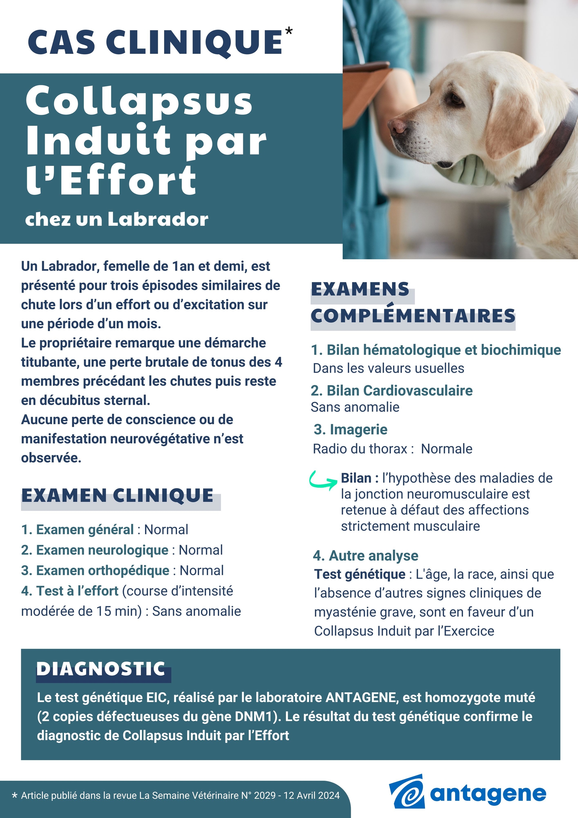 ANTAGENE fiches chien/chat