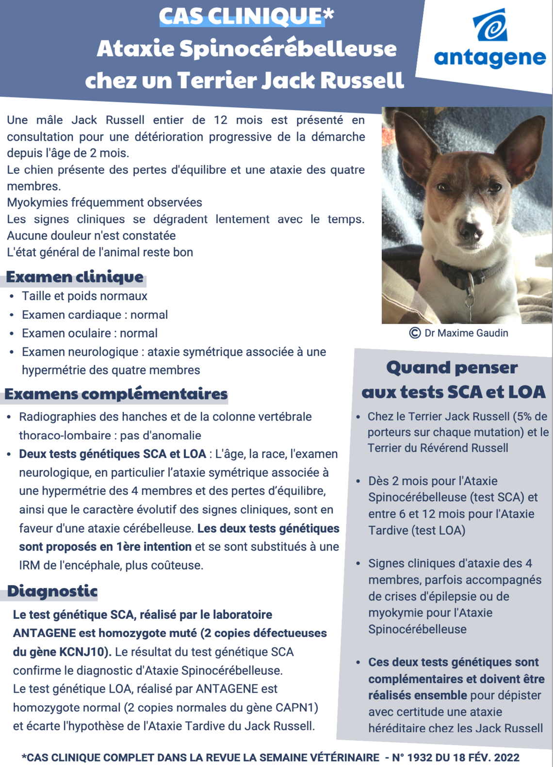 ANTAGENE fiches chien/chat