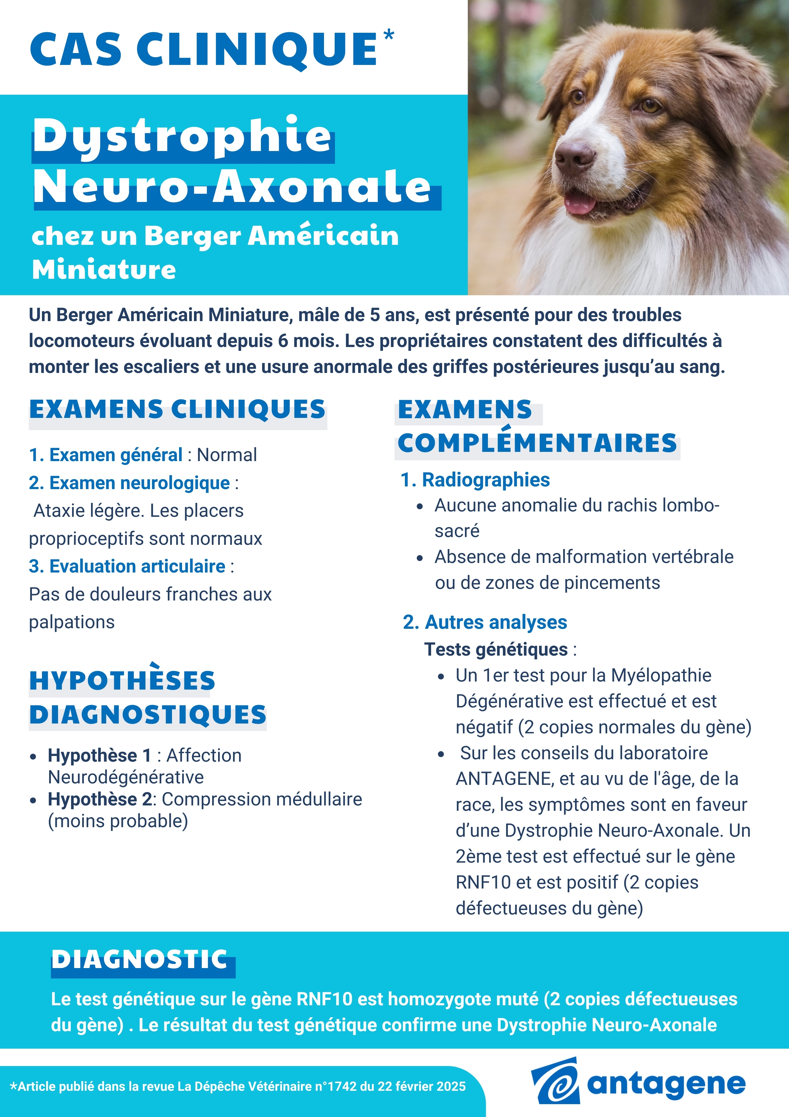 ANTAGENE fiches chien/chat