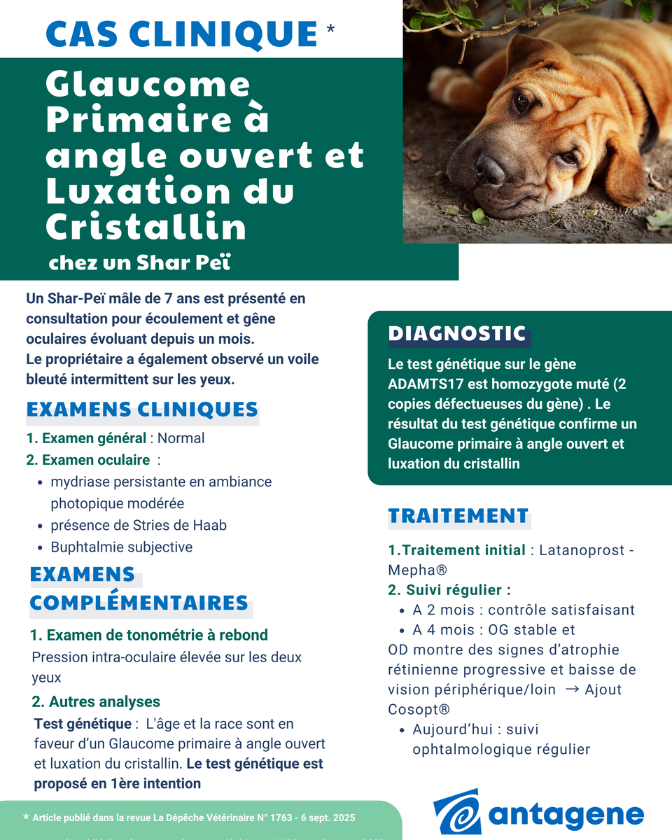 ANTAGENE fiches chien/chat