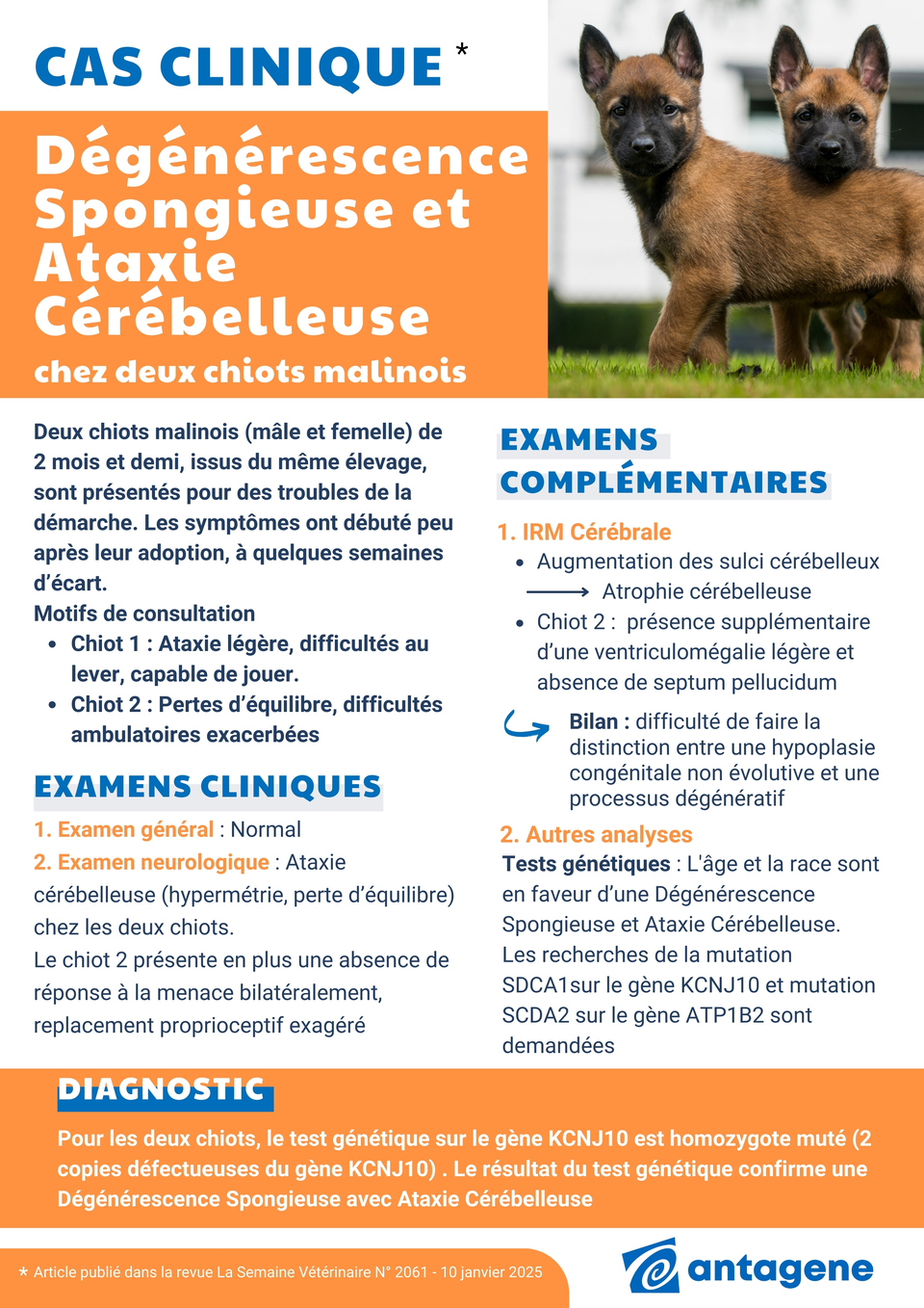 ANTAGENE fiches chien/chat