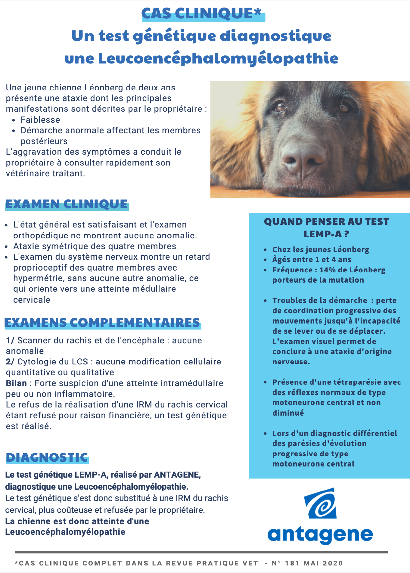 ANTAGENE fiches chien/chat