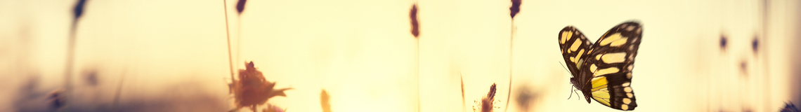 ANTAGENE