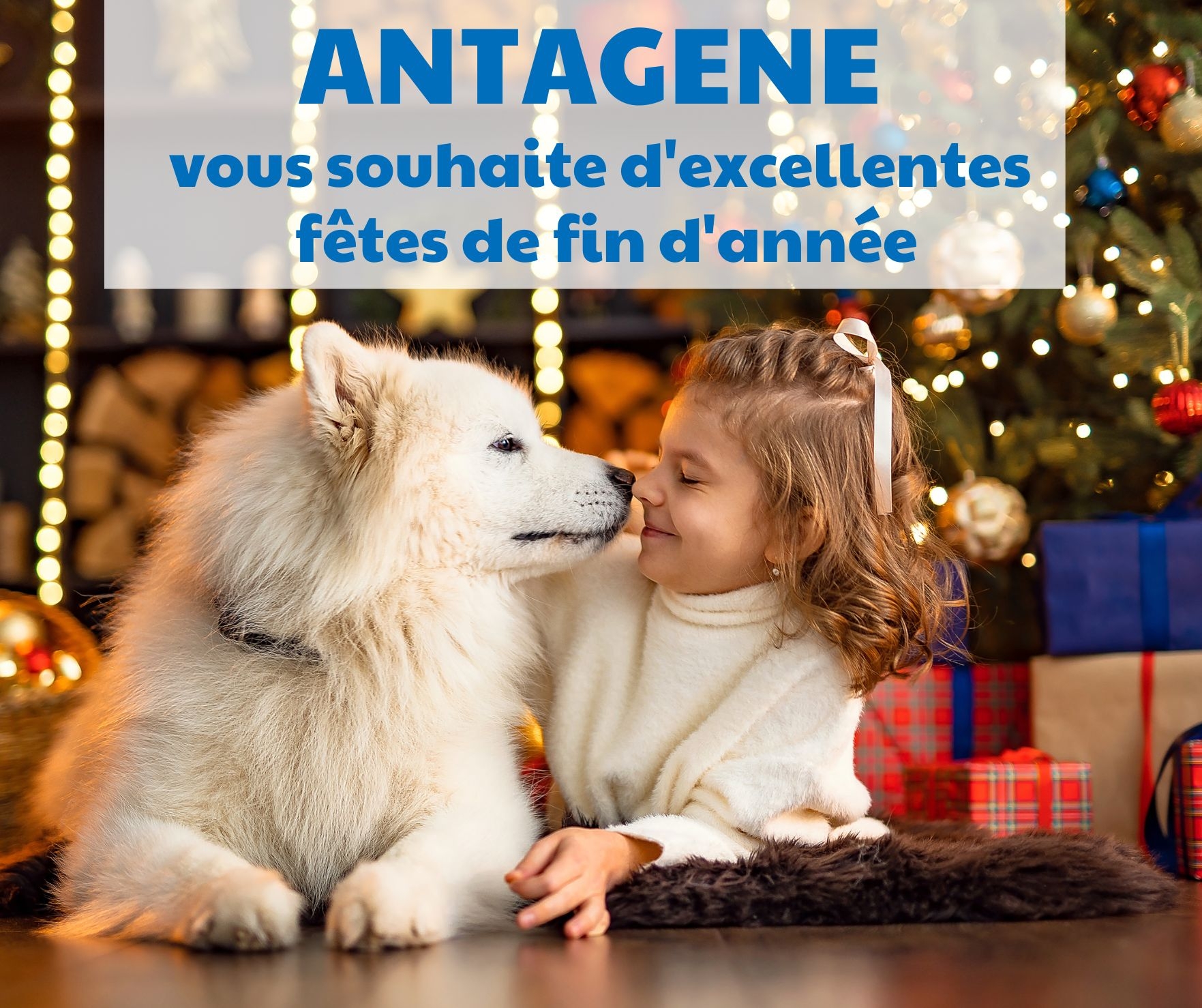 ANTAGENE - Tests génétiques et analyses pour les chiens, chats, chevaux ...