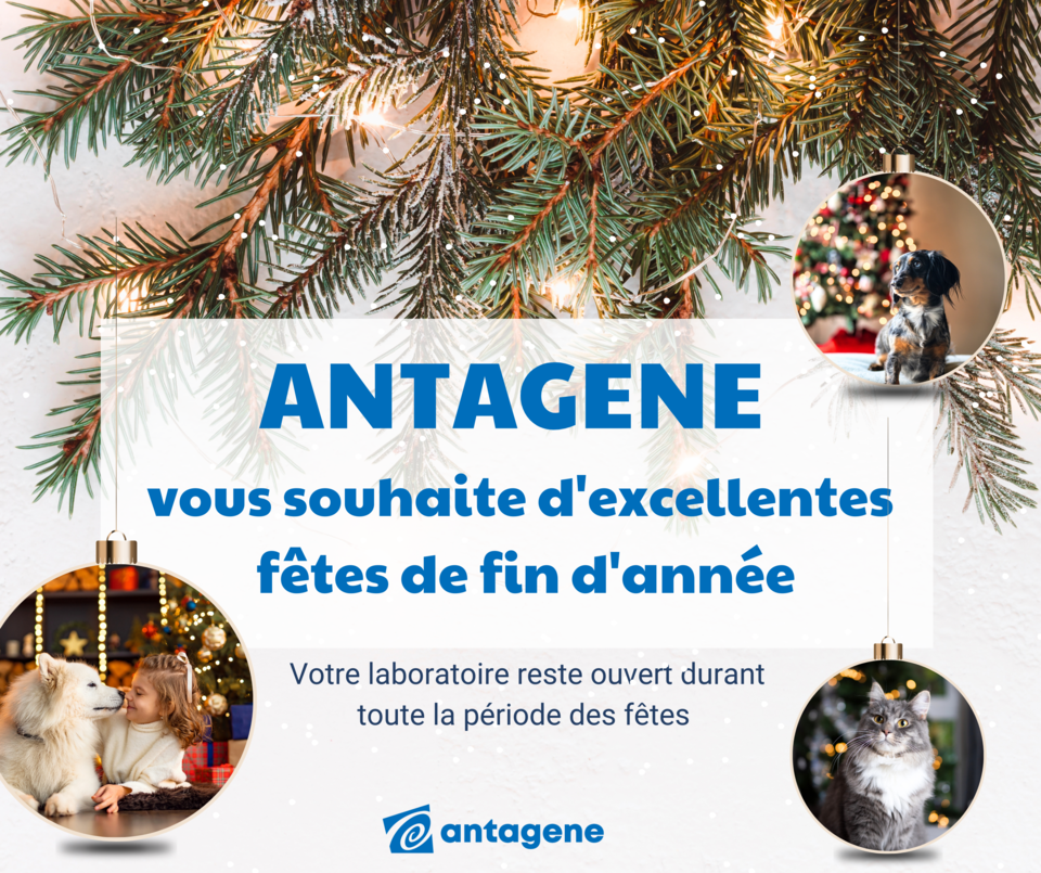 ANTAGENE - Analyses et tests génétiques pour les chiens, chats, chevaux ...