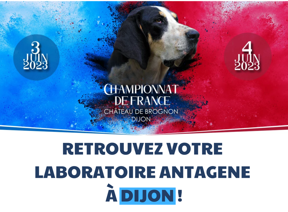ANTAGENE - Analyses et tests génétiques pour les chiens, chats, chevaux ...