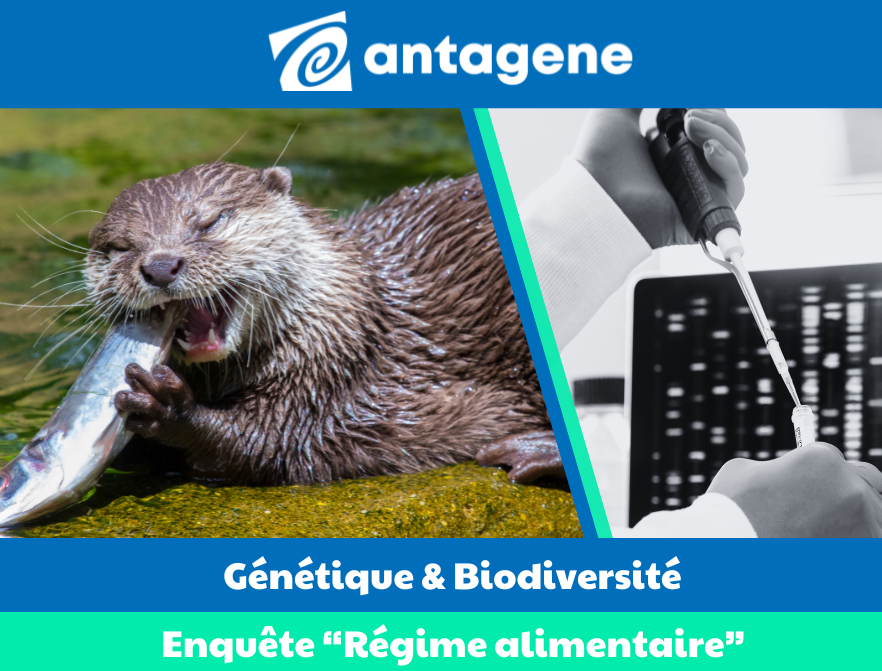 ANTAGENE