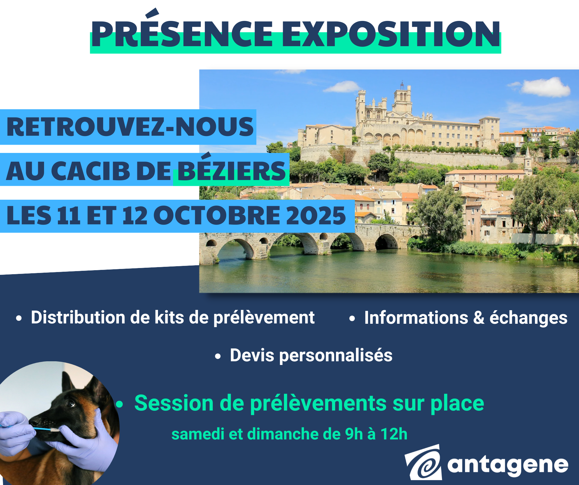 ANTAGENE Actualités