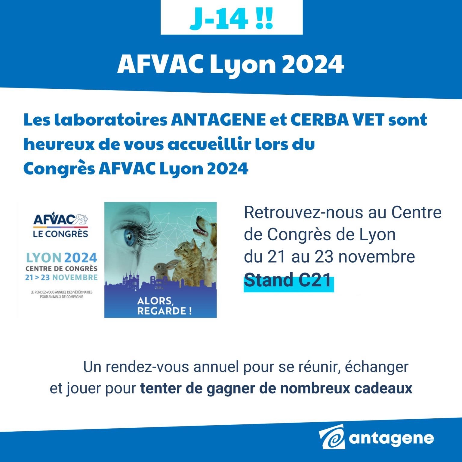 ANTAGENE Actualités