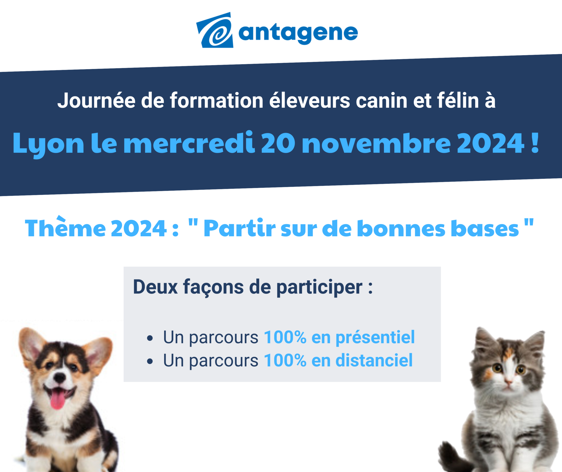 ANTAGENE Actualités