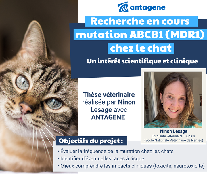 ANTAGENE Actualités