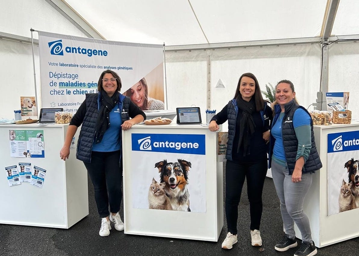 ANTAGENE Actualités